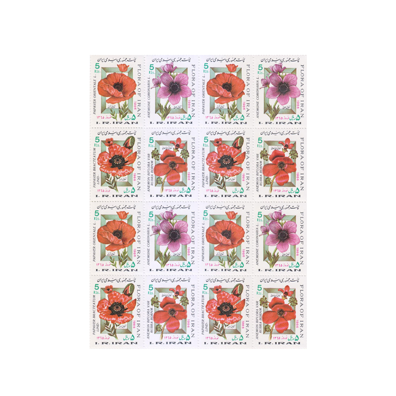 Wrap Around Label - New World Labels and Holograms